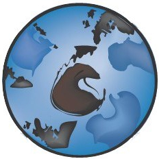 The GC3 Strategy – GC3Strategy.com